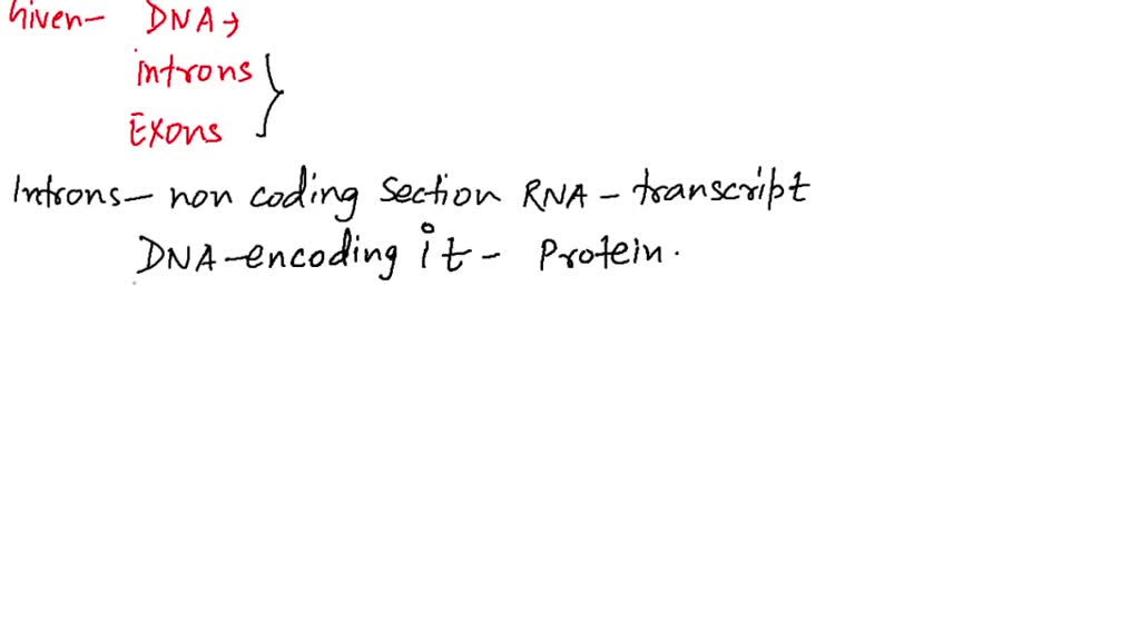 SOLVED:The segment of DNA that encompasses a gene typically contains introns and exons. Define ...