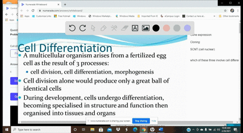 SOLVED:Cell differentiation that results from cell-to-cell signaling is ...