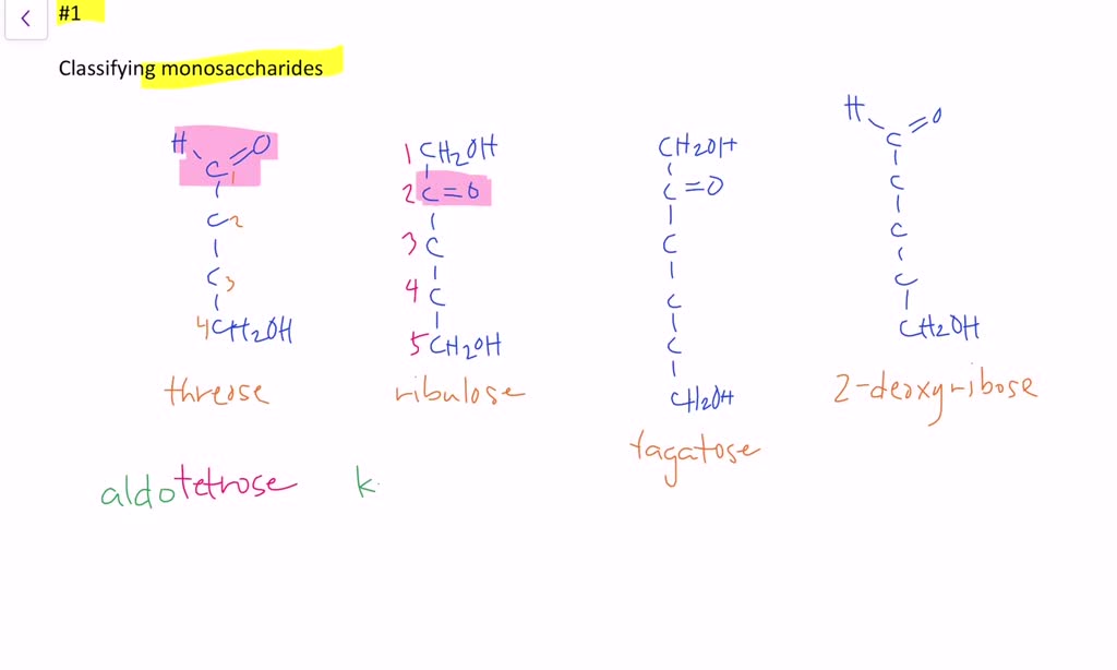 SOLVED:OH HO OH CHOH HO The Haworth diagram of tagatose shown above is ...