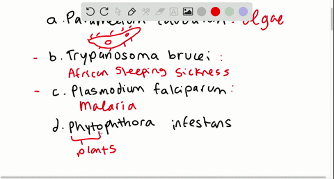 SOLVED:The group Diplomonadida is characterized by: a. a mouthilike ...