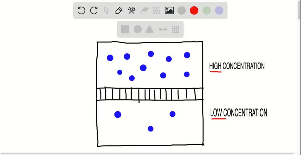 SOLVED:The diffusion of substances within a solution tends to move ...