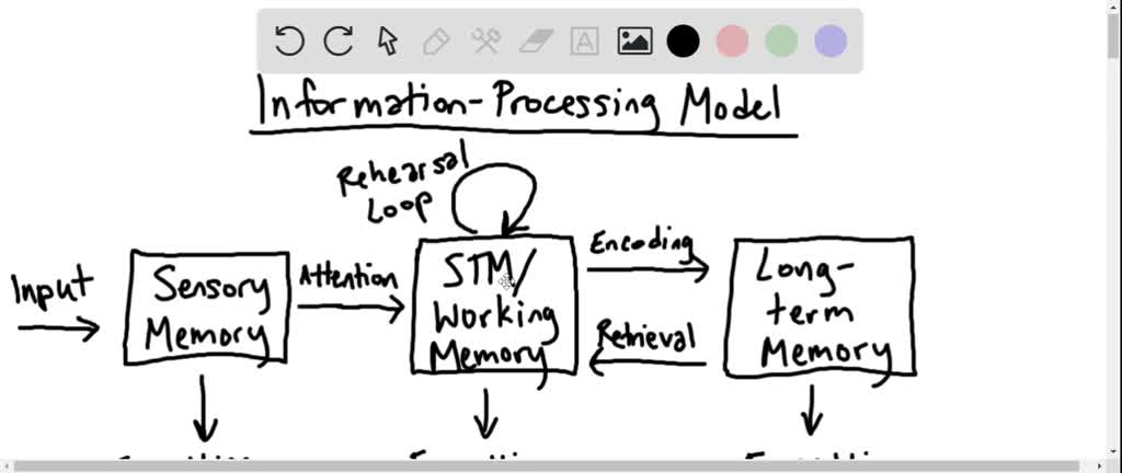 SOLVED: Which of the following is the most complete list of elements in ...