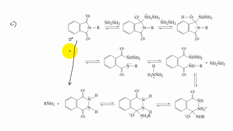 Chapter 20, Amines Video Solutions, Organic Chemistry | Numerade