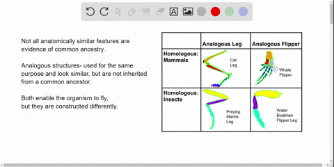 SOLVED:Use the photos below. PICTURE CANT COPY These organisms have ...