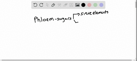 SOLVED:Who was the first to describe "cells" in dead cork tissue? a ...