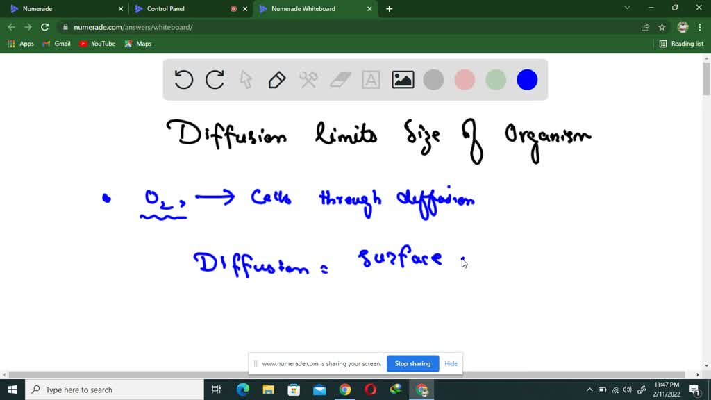 How does diffusion limit the size of organisms? | Numerade