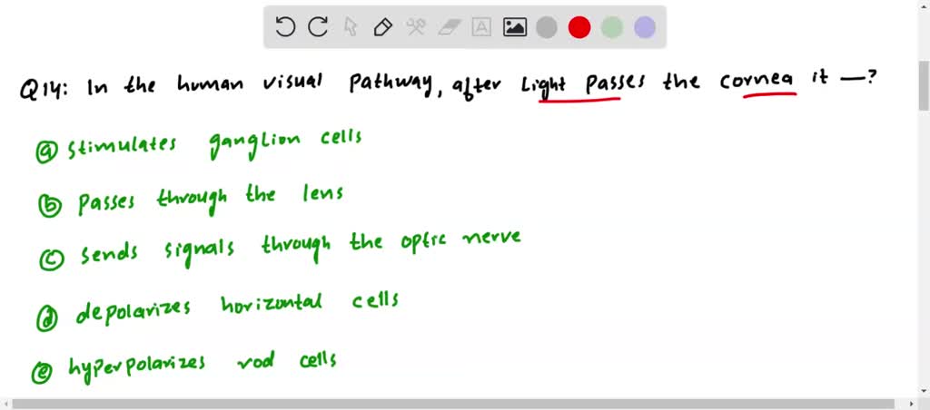⏩SOLVED:Meyer's loop carries optic radiation fibers representing- A ...