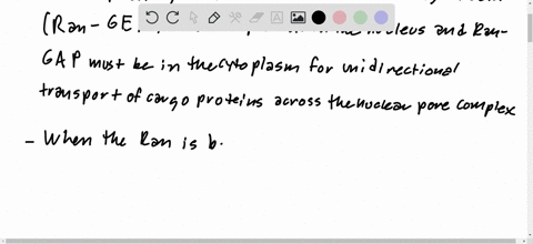 SOLVED:Why is localization of Ran-GAP in the nucleus and Ran-GEF in the ...