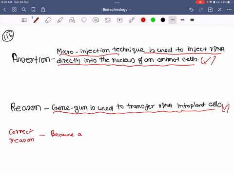 Microinjection is a method of gene transfer in which DNA is injected ...