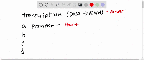 SOLVED: The sequence that signals the end of transcription is called ...