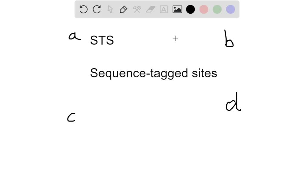 SOLVED:What is an STS? a. A unique DNA sequence used in mapping genomes ...