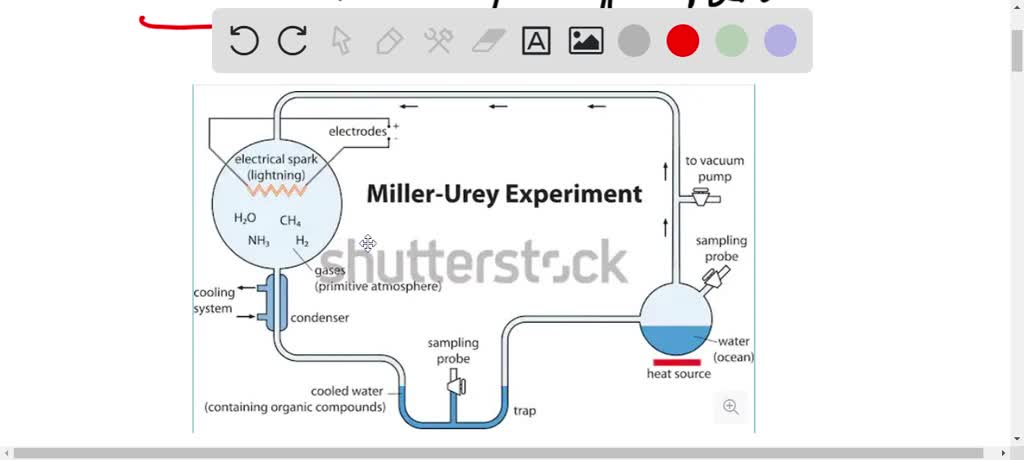 SOLVED:Stanley Miller's experiment demonstrated . a. the great age of ...