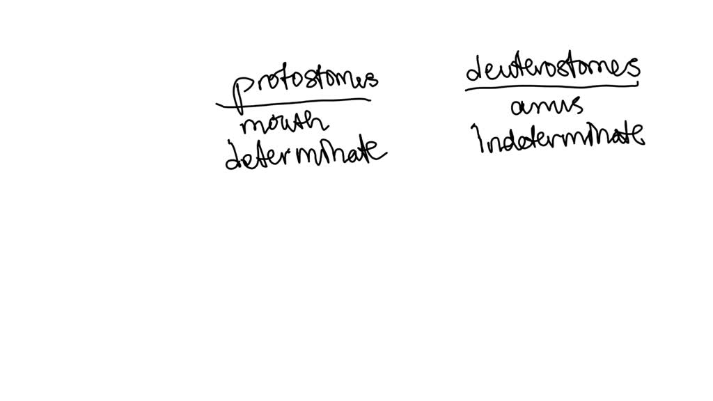 Naturally occurring identical twins are possible only in animals that a ...