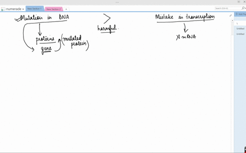 SOLVED:What error would cause more damage to a cell: A DNA replication ...