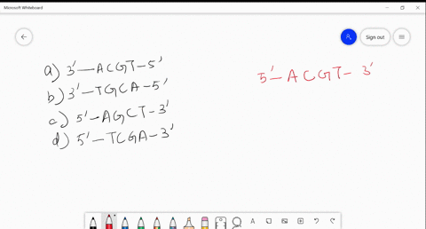 SOLVED:In DNA replication the complementary nucleotide sequence for 5 ...