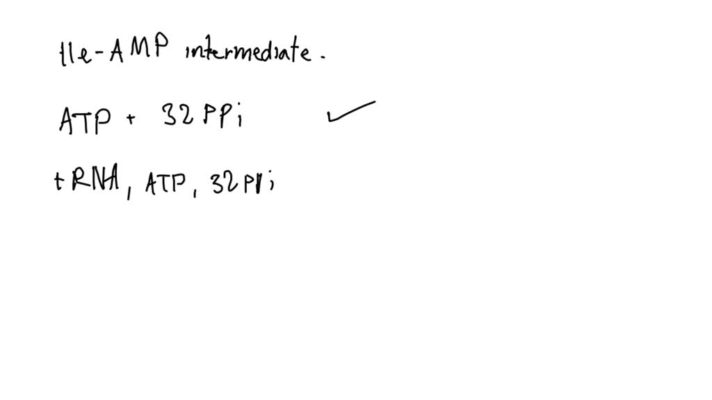 SOLVED:The formation of isoleucyl-tRNA proceeds through the reversible ...