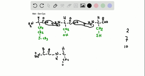 SOLVED:(a) Draw the structural formula of the tripeptide Met - Ser-Cys ...