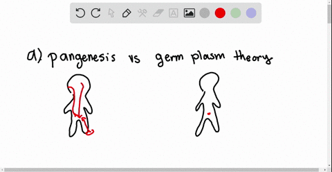 SOLVED:Compare and contrast the following ideas about inheritance. a ...