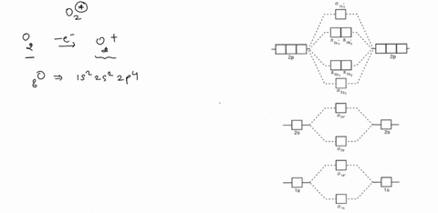 SOLVED: The paramagnetism of O2 ^+ is due to the presence of an odd ...