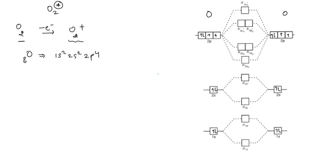 The paramagnetism of O2 ^+ is due to the presence of an odd electron in ...