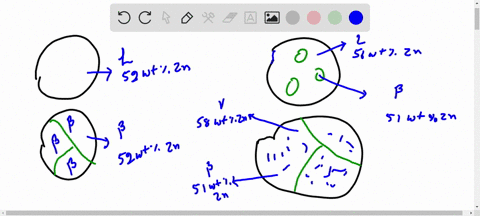 For a 76 wt% Pb-24 wt% Mg alloy, make schematic sketches of the ...