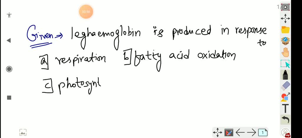 SOLVED:Leghaemoglobin is produced in response to (a) respiration (b ...