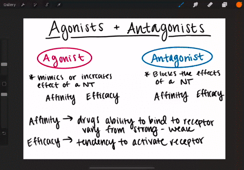 SOLVED:Is a drug with high affinity and low efficacy an agonist or an ...
