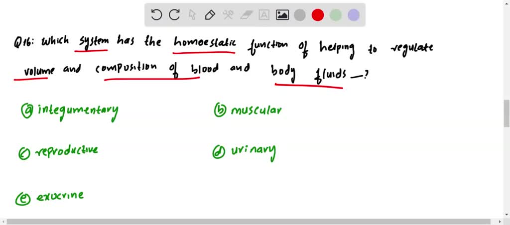 SOLVED: Which science studies normal body structure? a. homeostasis b ...