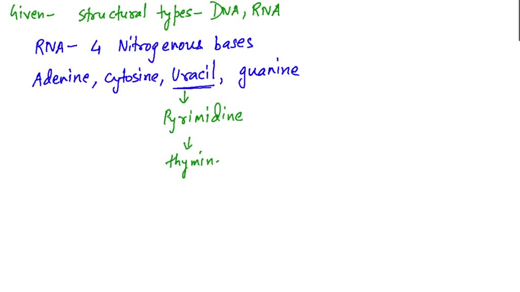 ⏩SOLVED:What are the two structural types of bases in DNA and RNA?… | Numerade