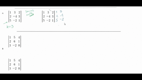 For k=1,2,3,4, find the sum Sk of all principal minors of order k for ...