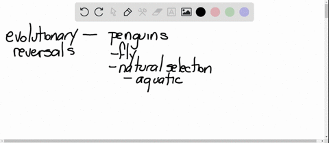 SOLVED:Living members of a vertebrate lineage can be very different ...