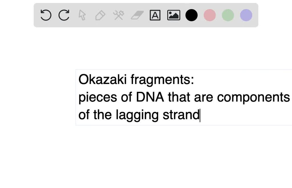 SOLVED:Why are Okazaki fragments formed in the synthesis of the lagging ...