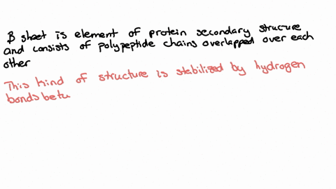 SOLVED:Why are βsheets more commonly found in the hydrophobic interiors ...