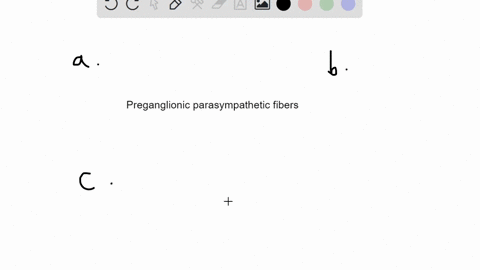 SOLVED:Which of these cranial nerves contains preganglionic ...