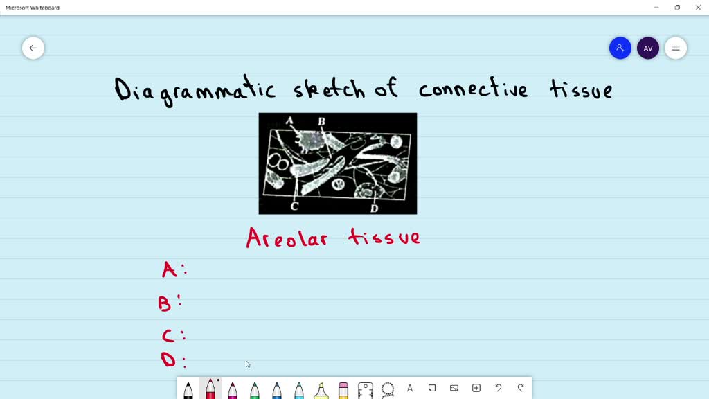 Solved Given Is The Diagrammatic Sketch Of A Certain Type Of Connective