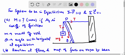 Static Equilibrium and Elasticity | Physics for S…