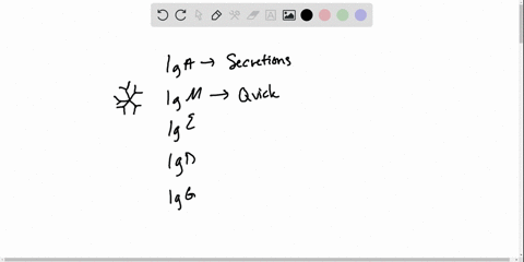 SOLVED:The Gell and Coombs classification system categorizes allergic reactions and is useful in ...