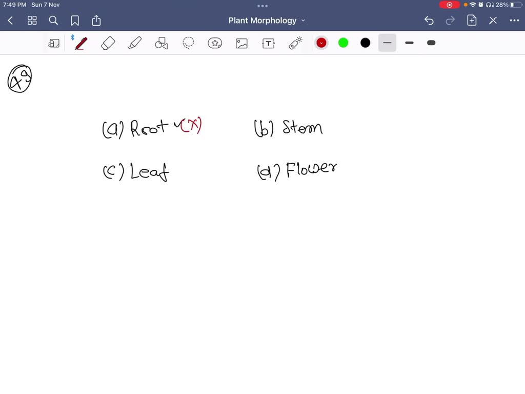 SOLVED:In pitcher plant, the pitcher is modified into (a) Root (b) Stem ...