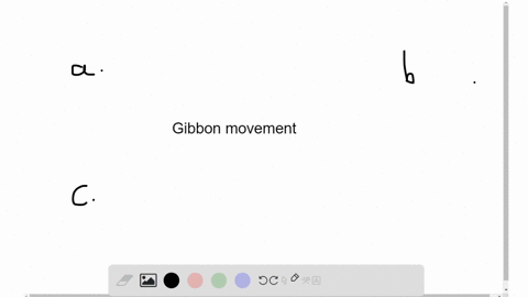 SOLVED:Use the figure below to answer question 4. Which is the term for ...