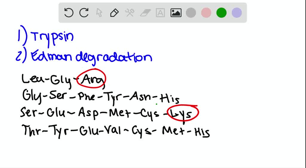 SOLVED: You are in the process of determining the amino acid sequence ...