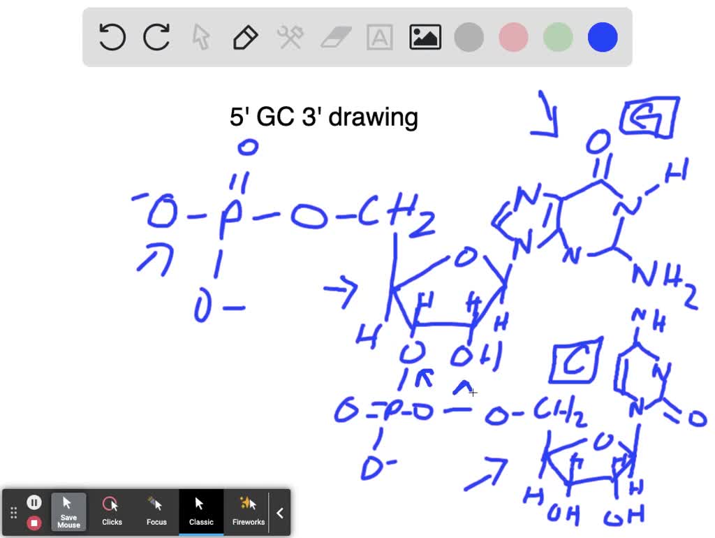 SOLVED:Draw the condensed structural formula for the dinucleotide 5 ...