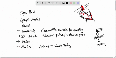 ⏩SOLVED:Match the components with their functions. a. filters out ...