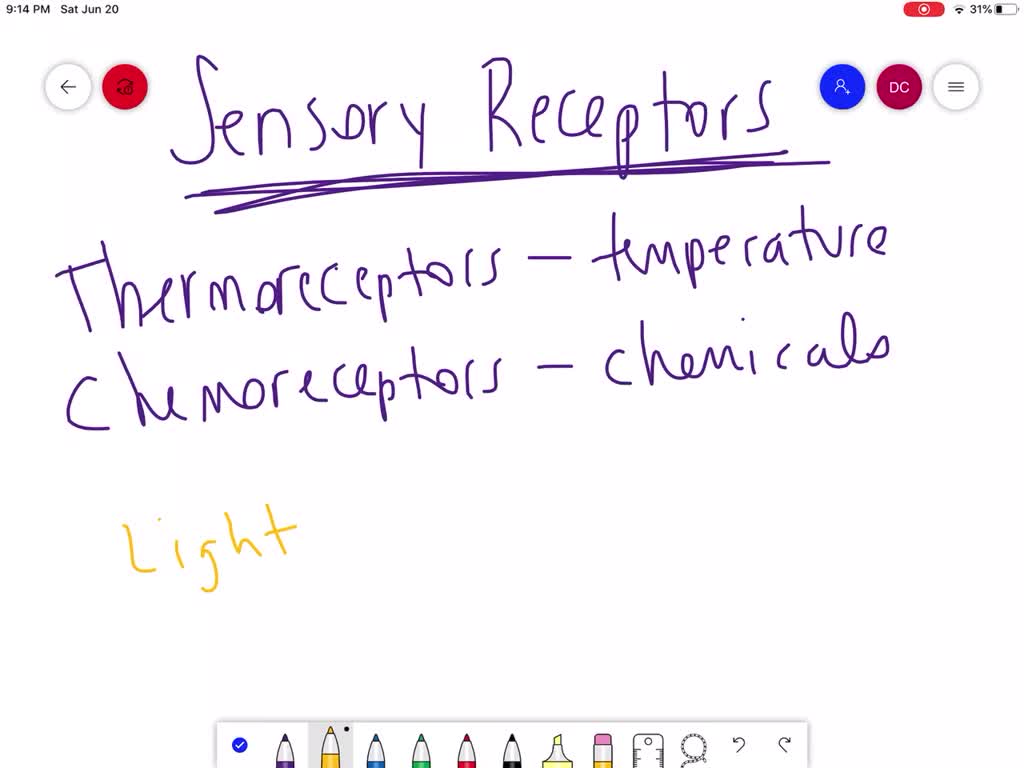 SOLVED:If a thermoreceptor is sensitive to temperature sensations, what ...