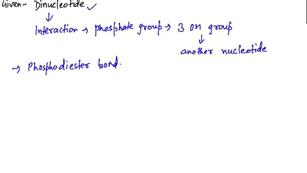 SOLVED:Draw the complete structure of the RNA dinucleotide U-C ...