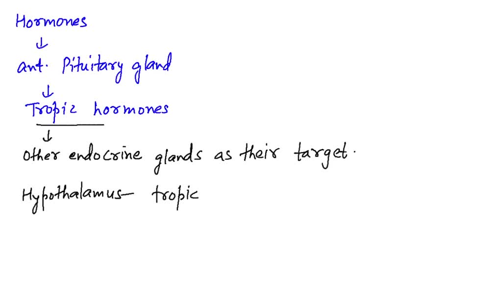 SOLVED:Why are the hormones of the anterior pituitary gland called ...