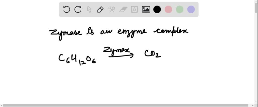 SOLVED:The function of zymase is to: (a) Change starch into sugar (b ...