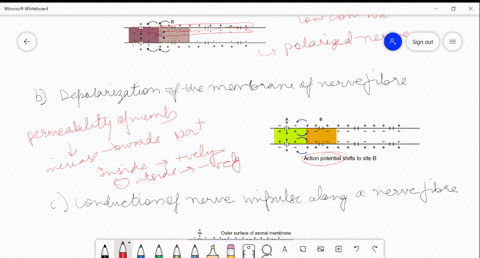 SOLVED:Explain the following processes: (a) Polarisation of the ...