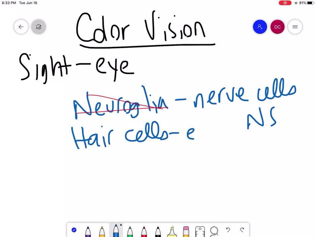 SOLVED:Color vision begins with stimulation of. a. hair cells b. rod ...