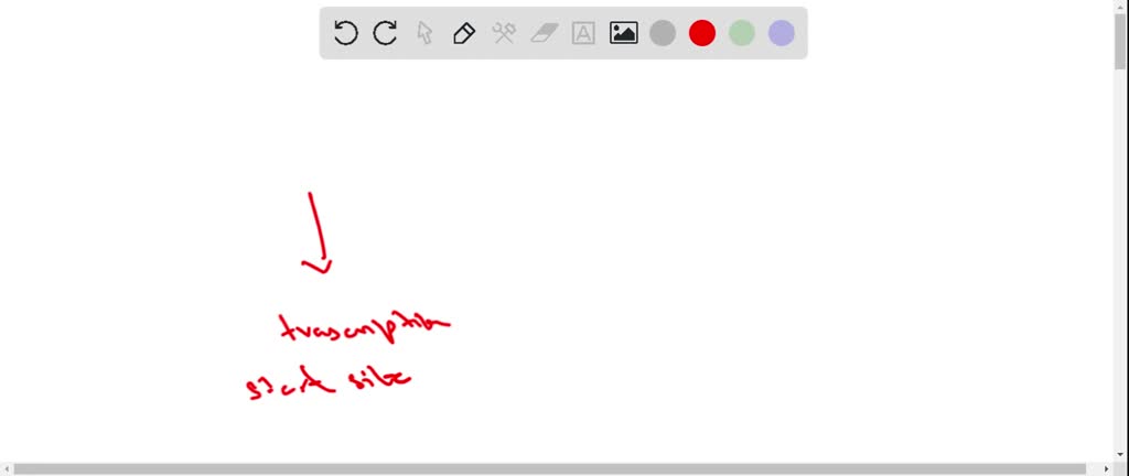 In a DNase footprinting experiment, either the template or nontemplate ...