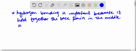 SOLVED:Describe the role of hydrogen bonding in maintaining the double ...